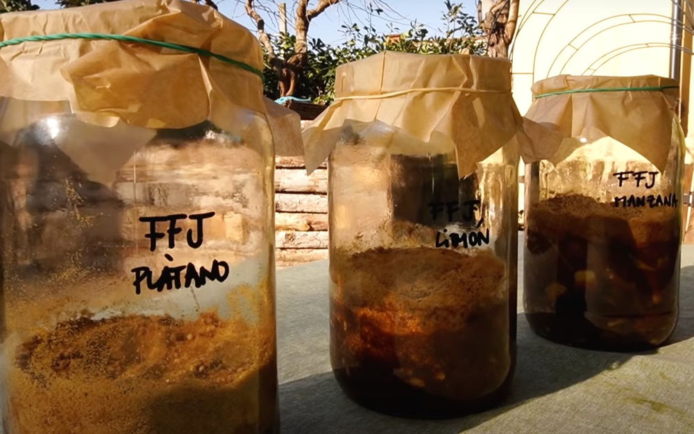 Cultivo KNF: Abonos orgánicos y microorganismos - House of Weed